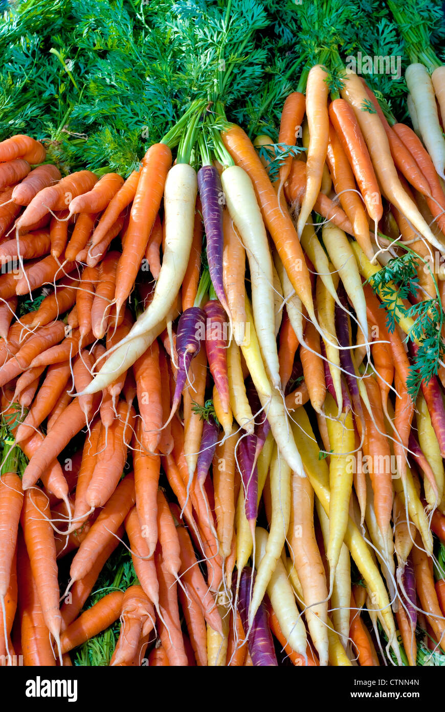 Colorful Carrots on display Stock Photo - Alamy