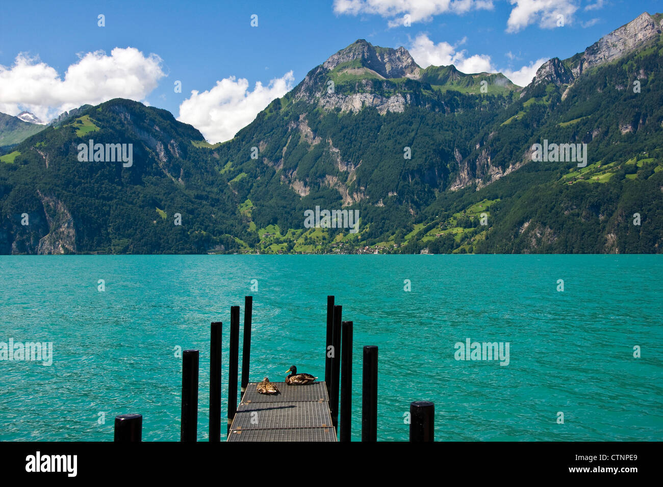 Sisikon Stock Photos & Sisikon Stock Images - Alamy