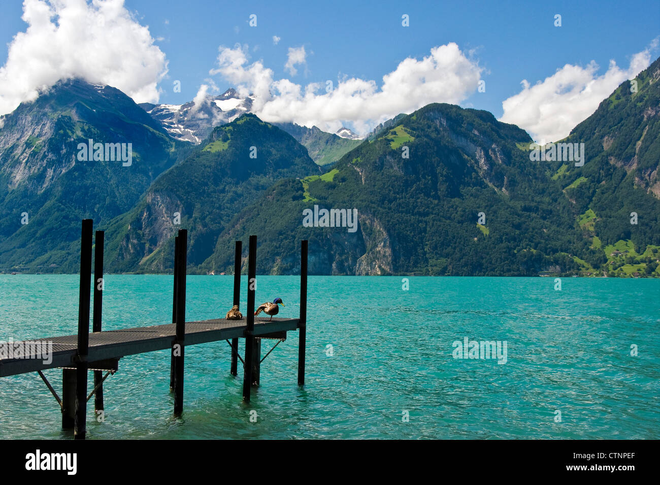 Switzerland, Canton Schwyz, Lucerne lake, Sisikon, landscape Stock ...