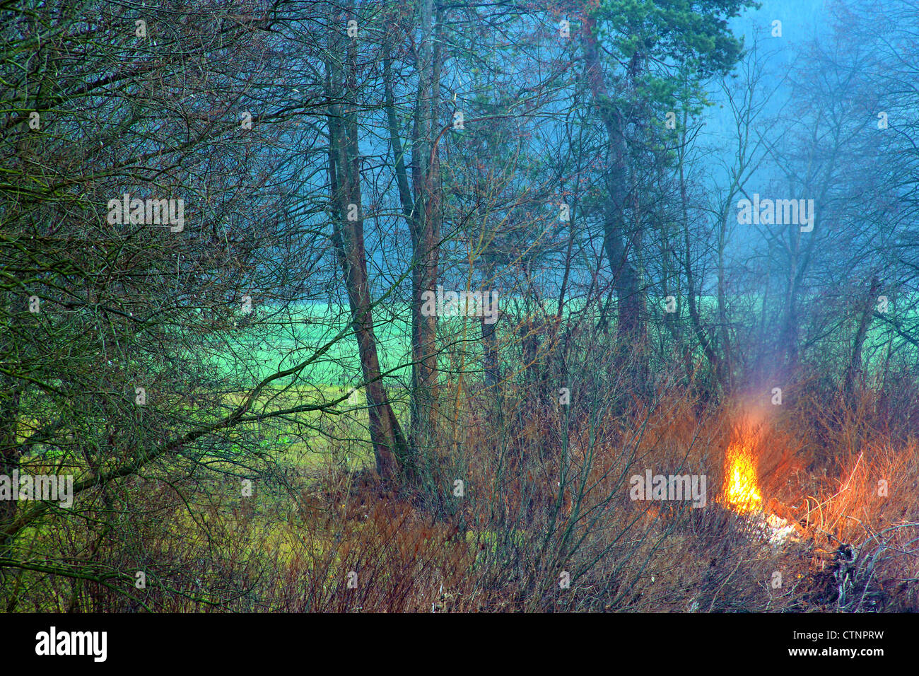 Fire in the nature Stock Photo - Alamy