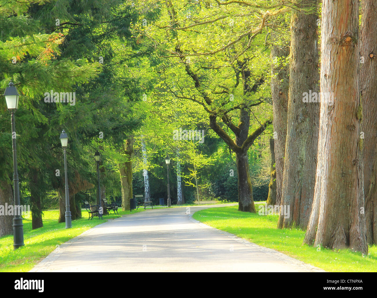 Beautiful park in early spring Stock Photo - Alamy