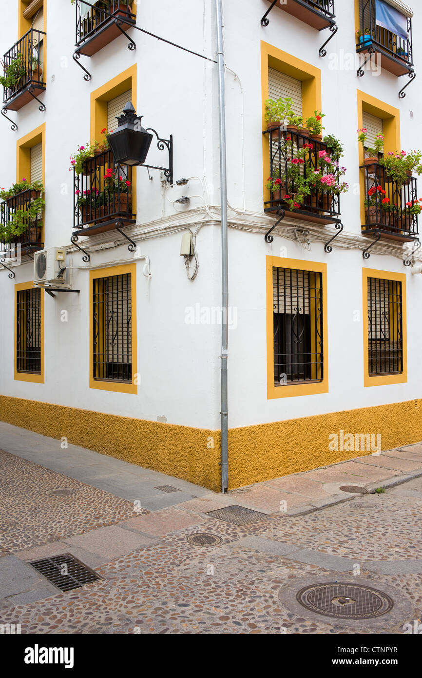 Corner of a traditional Andalusian house in Cordoba, Andalusia, Spain ...