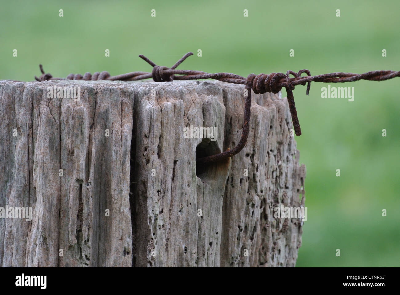 Fence post with rusted barb wire Stock Photo - Alamy