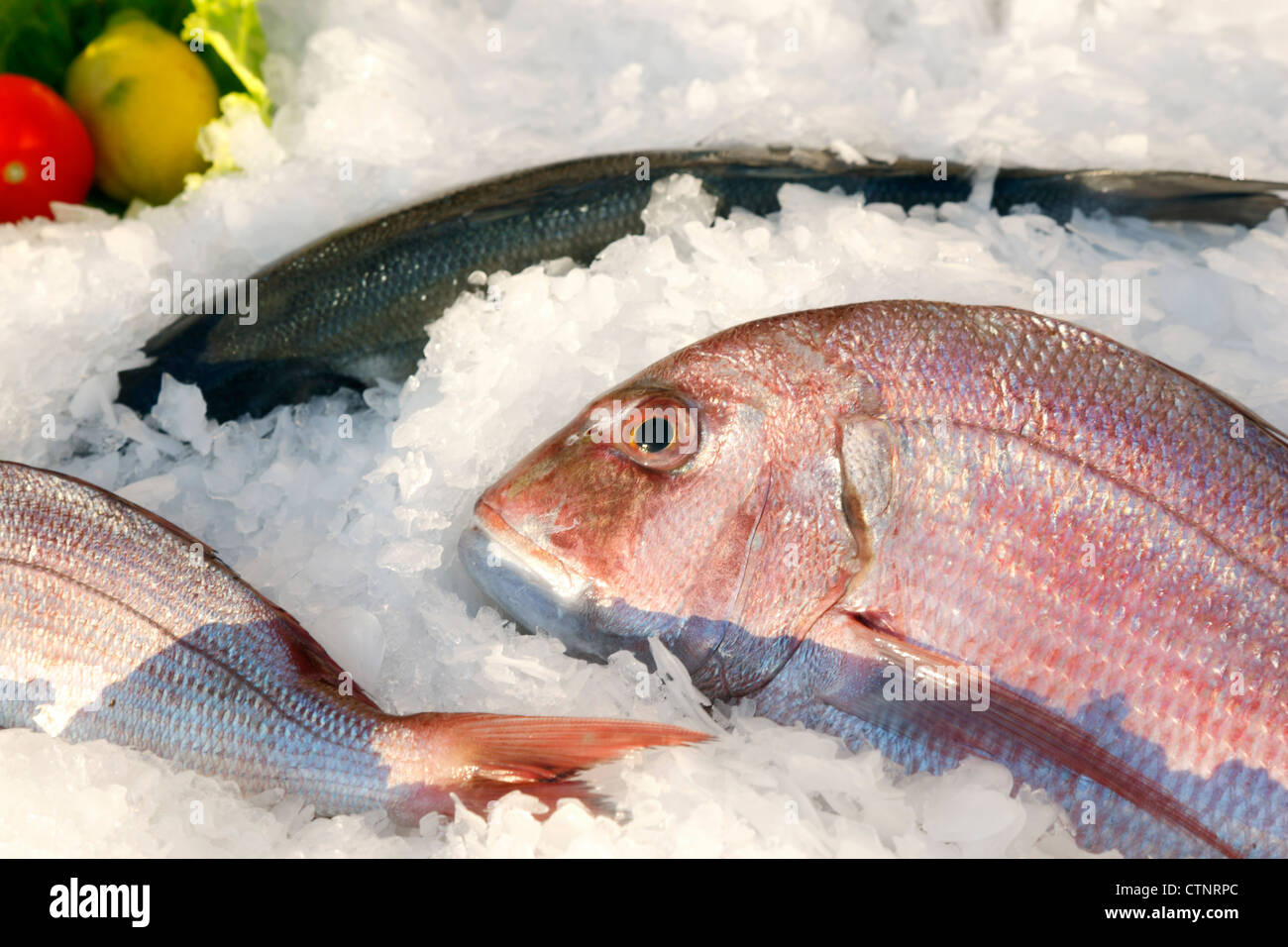 Arbun hi-res stock photography and images - Alamy