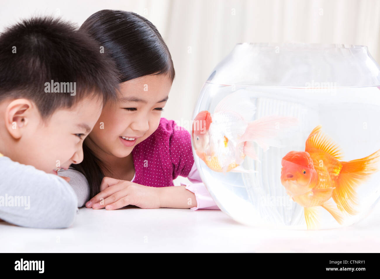 Cute children with goldfish Stock Photo - Alamy
