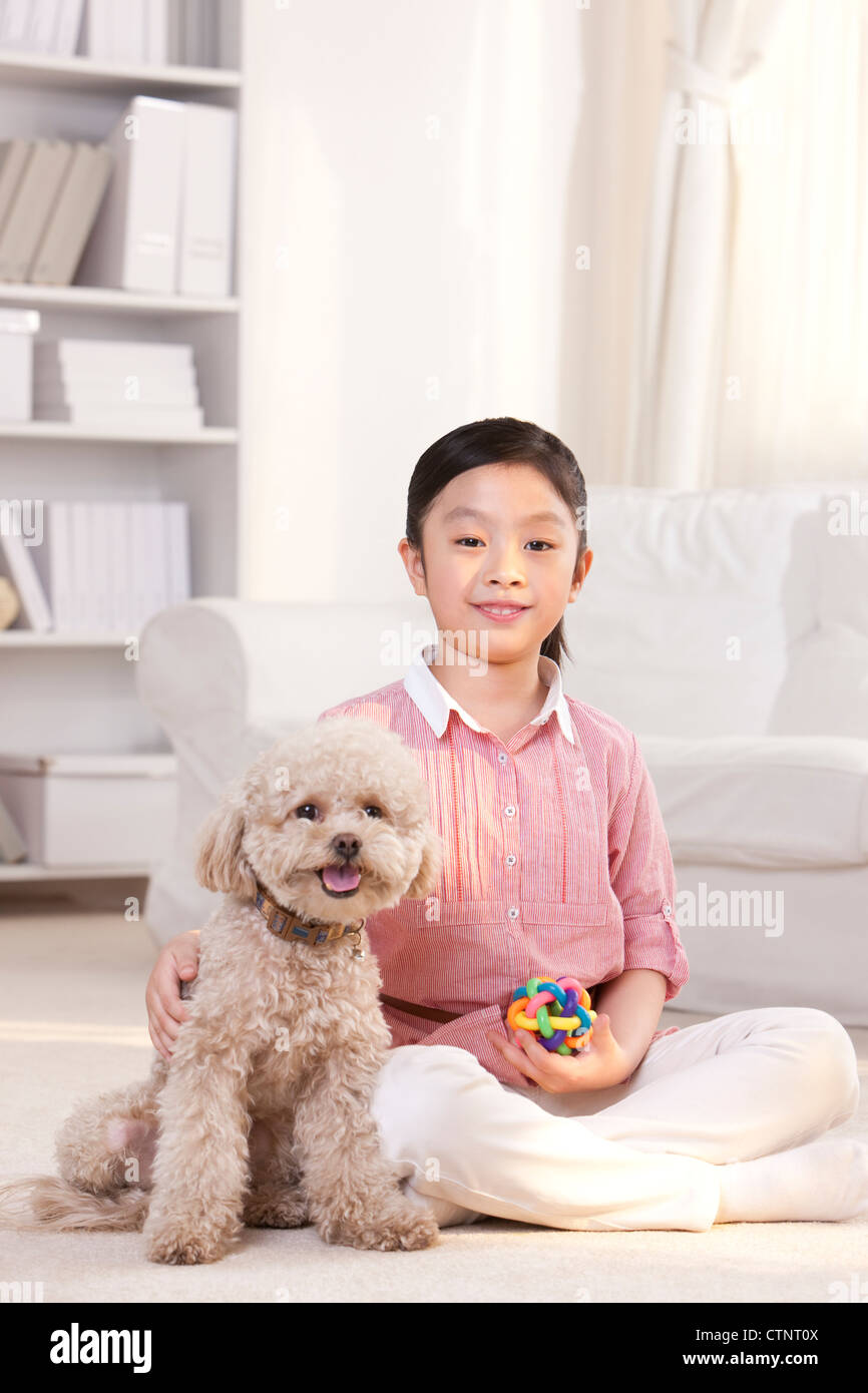 Cute girl playing with Toy Poodle Stock Photo - Alamy