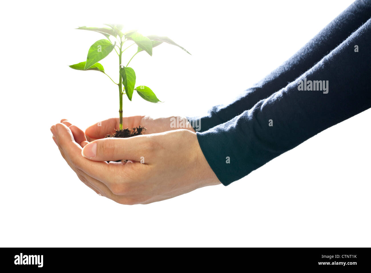 Maintain protection hi-res stock photography and images - Alamy