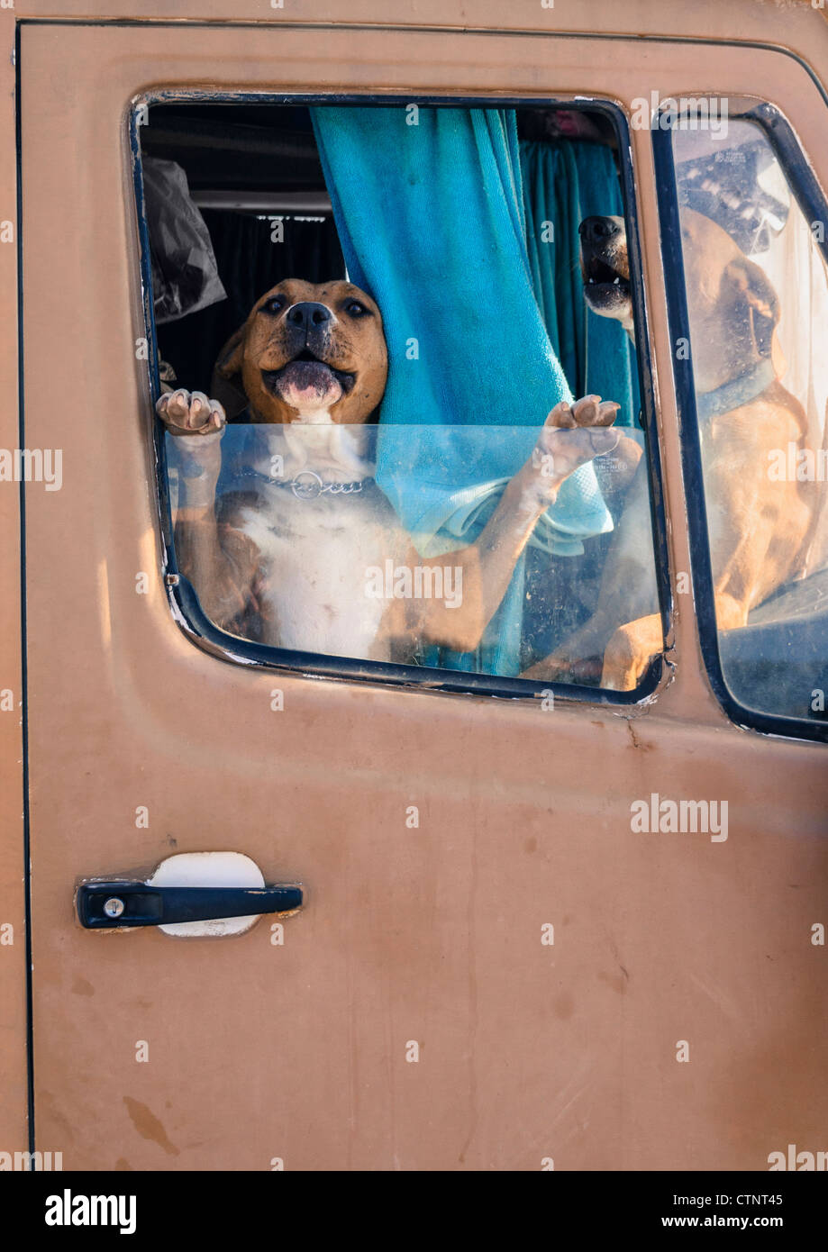 Hot dog van hi-res stock photography and images - Alamy