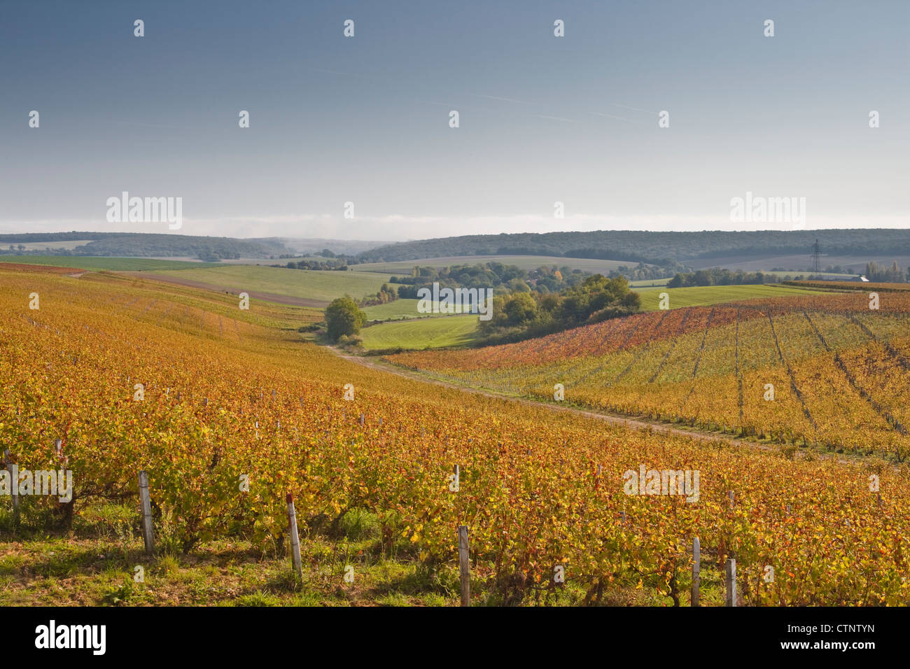 The vineyards of Sancerre in the Loire Valley of France Stock Photo - Alamy