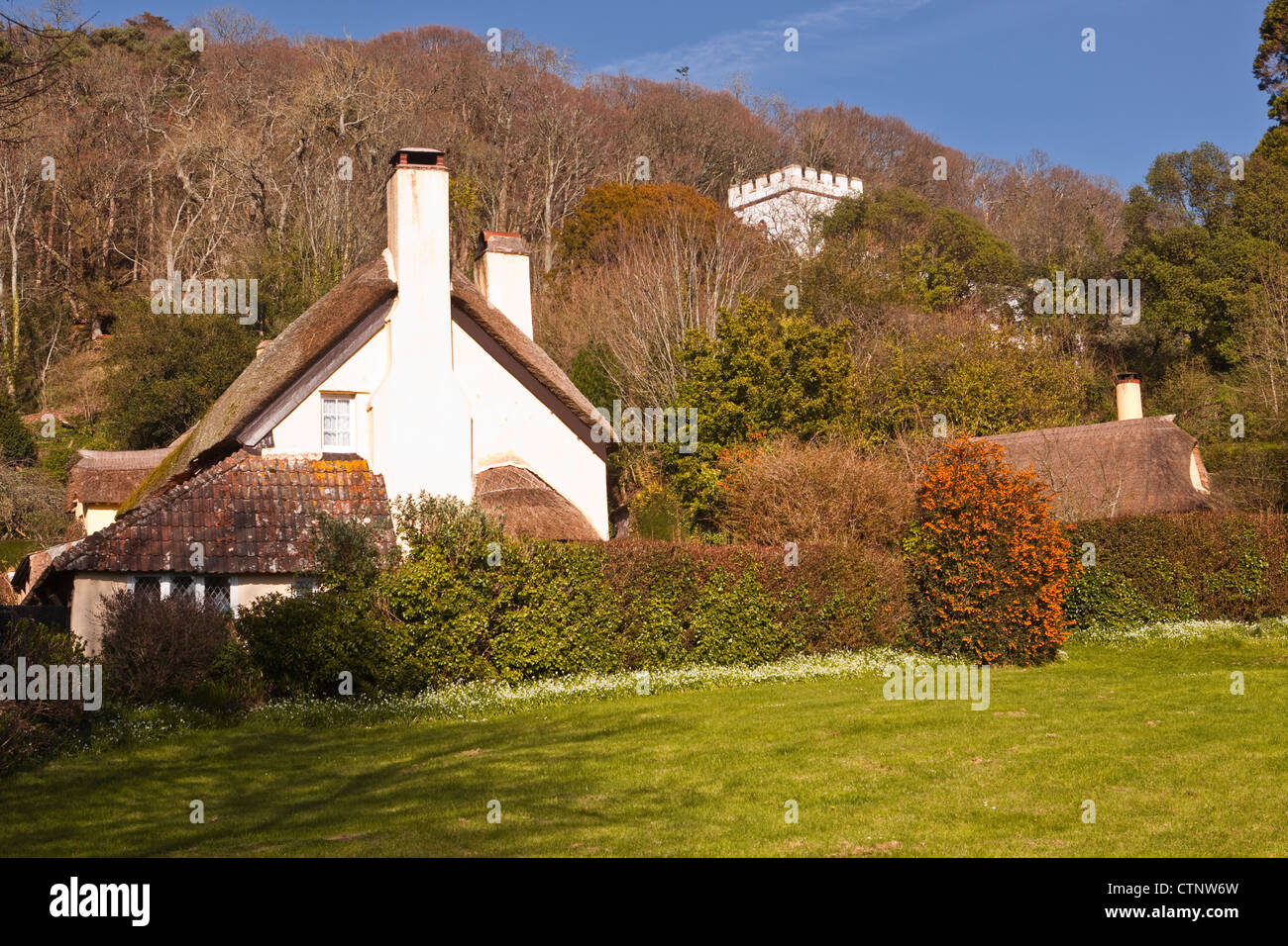 The village of Selworthy in Exmoor National park Stock Photo - Alamy