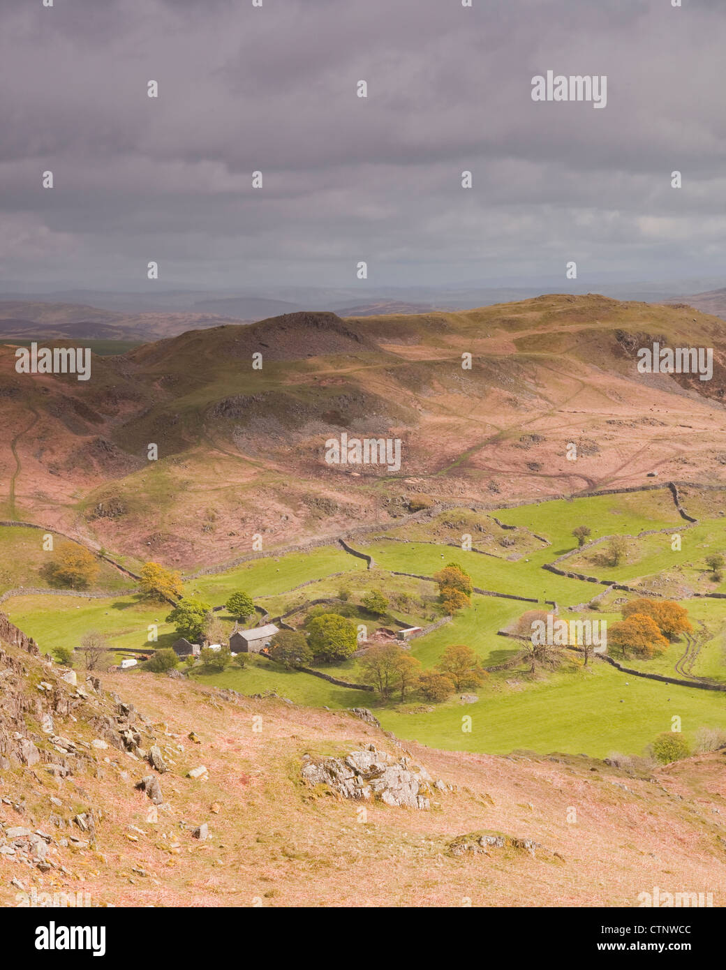 Dunnerdale forest hi-res stock photography and images - Alamy