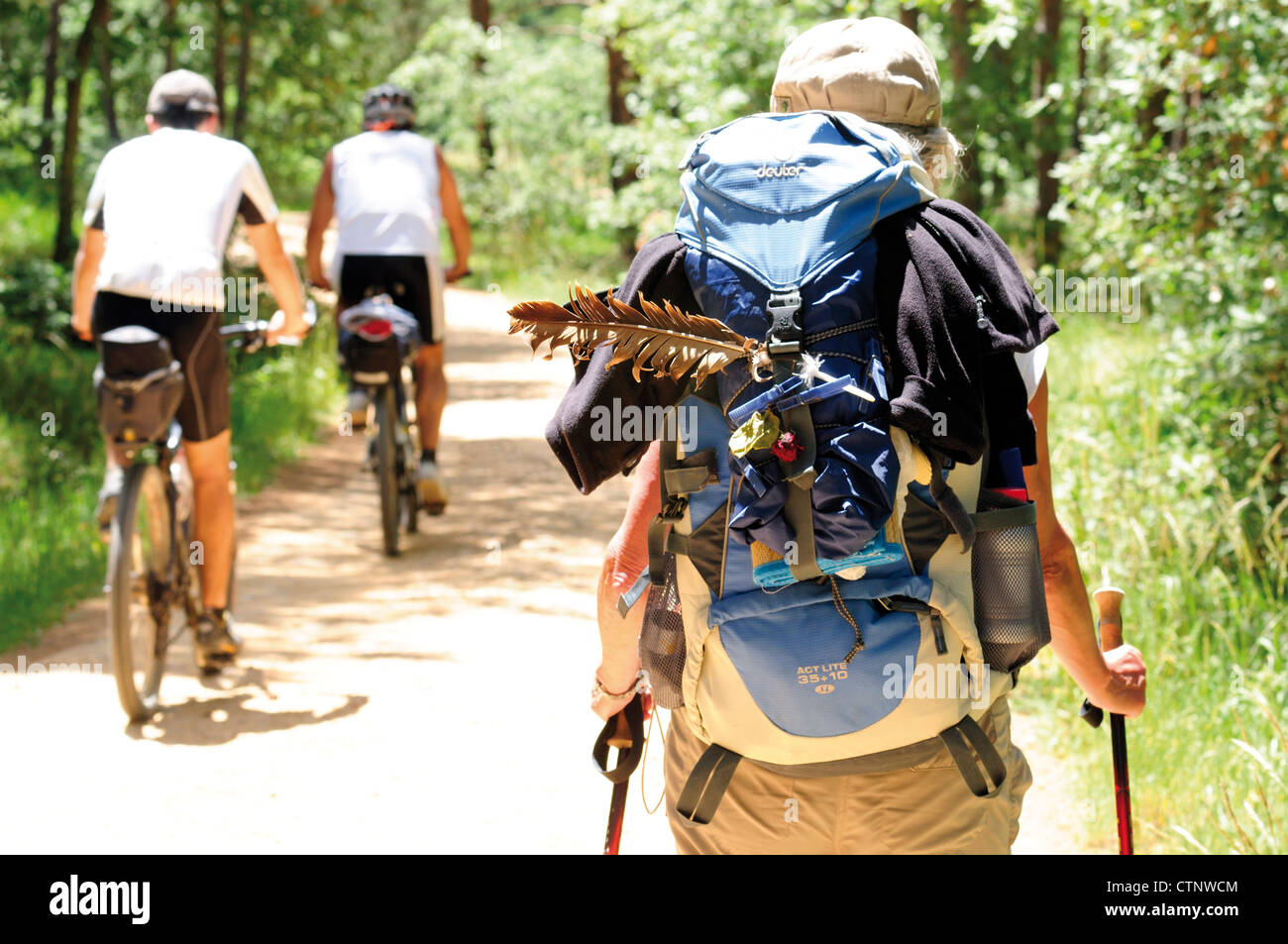 Spain, St. James Way: Pilgrims on their way to Santiago de Compostela ...