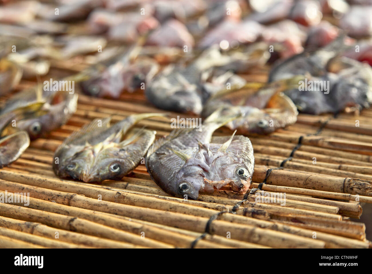 dry fish on bamboo table Stock Photo - Alamy