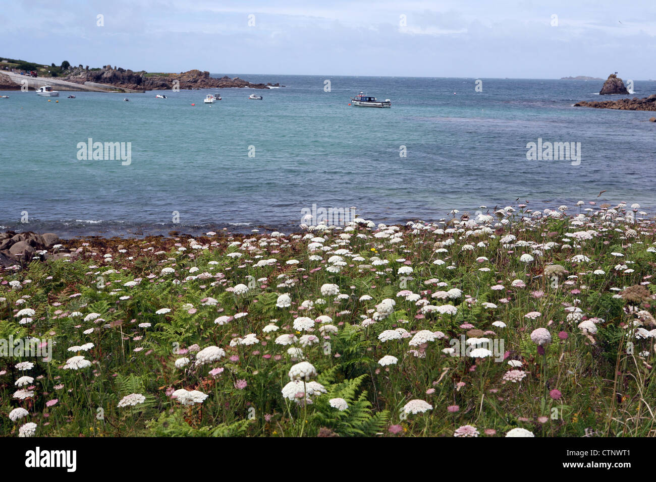 St Agnes and The Gugh, Scilly Isles Isles of Scilly Cornwall England UK ...