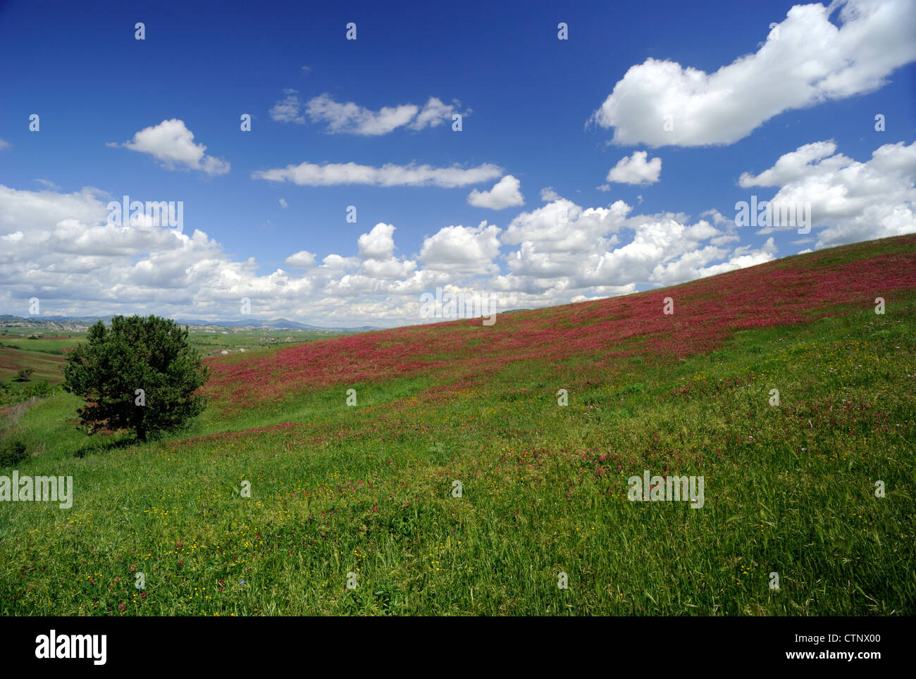 Italy landscape spring hi-res stock photography and images - Alamy