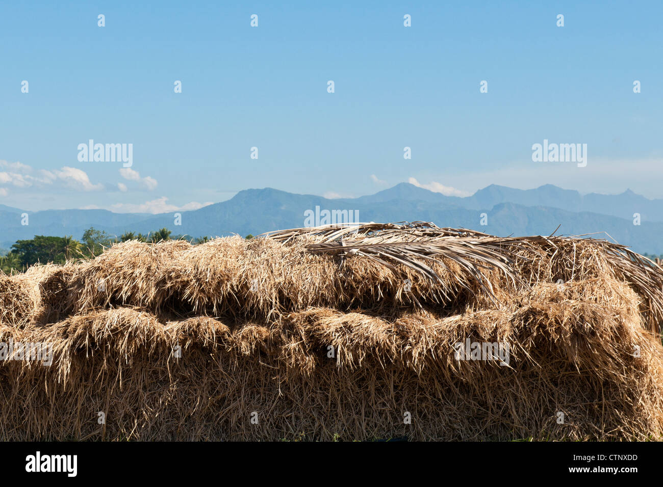 Haystack in Ilocos Sur Stock Photo - Alamy