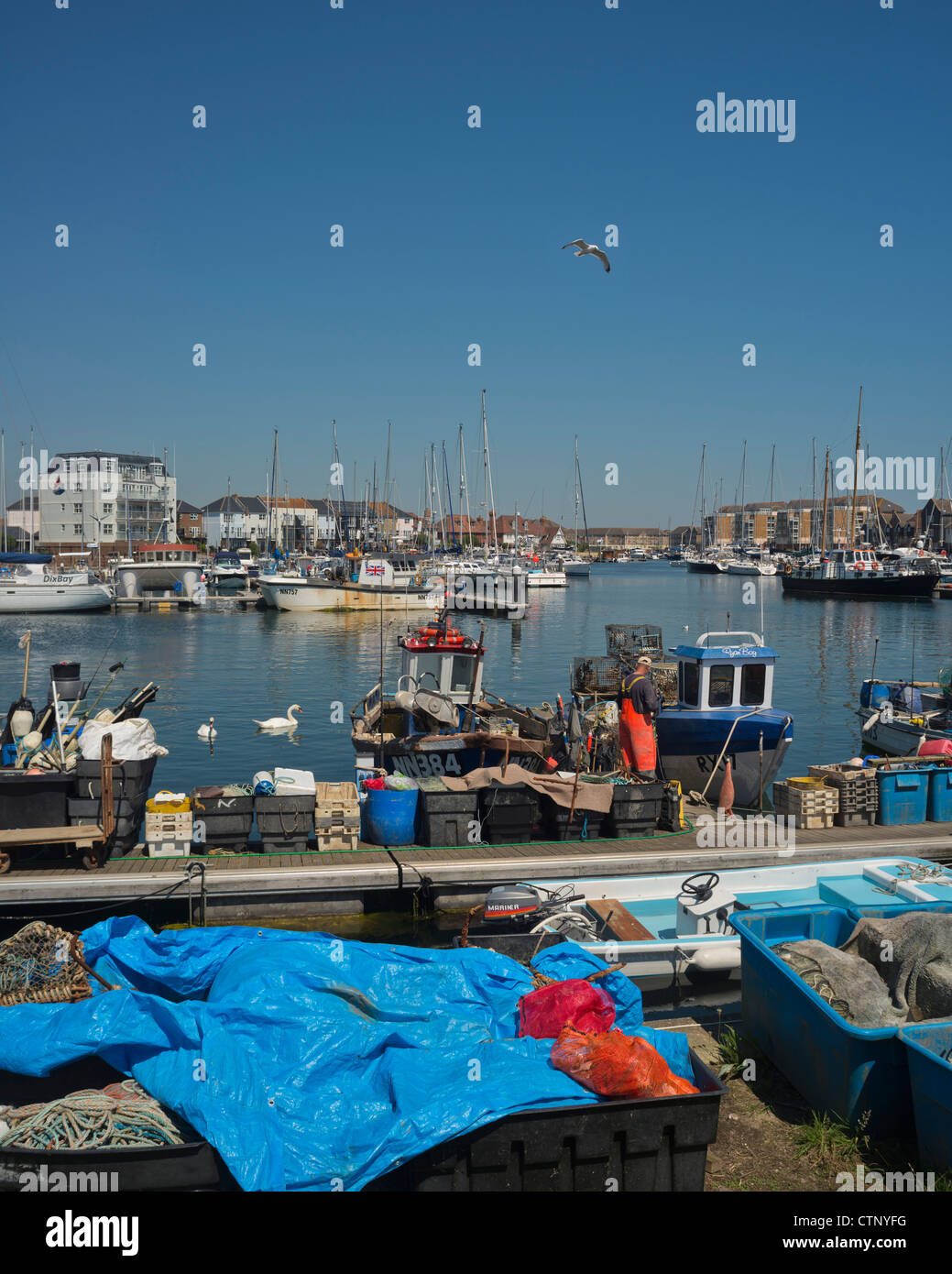 Eastbourne sovereign harbour hi-res stock photography and images - Alamy