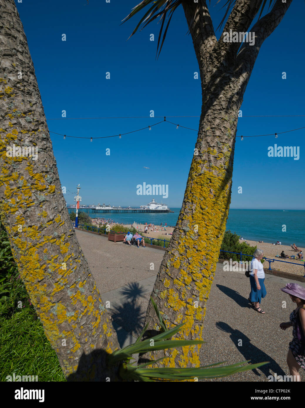 Eastbourne seafront beach promenade pier hi-res stock photography and ...