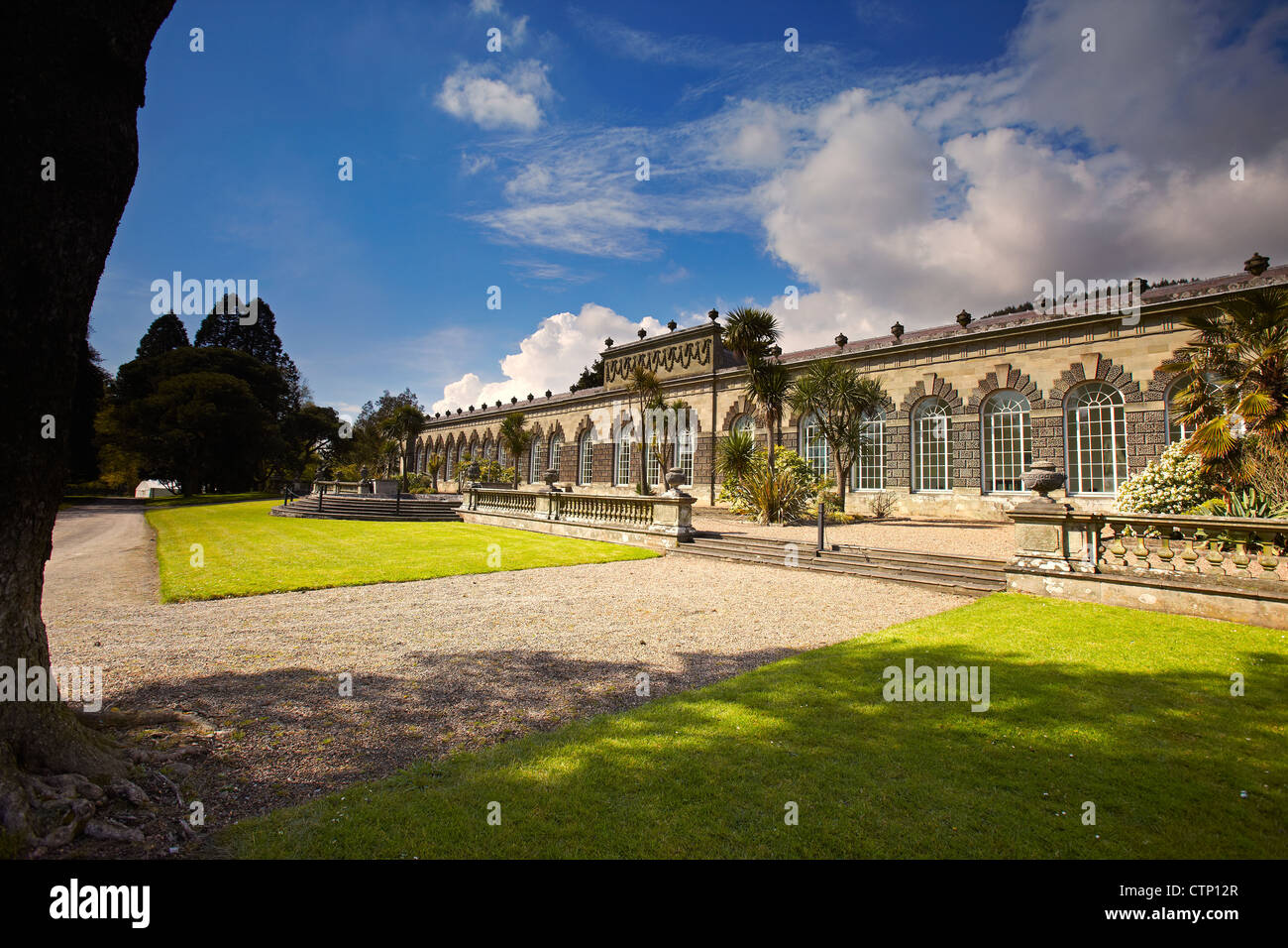 The Orangery, Margam Park, Port Talbot, Wales, UK Stock Photo - Alamy