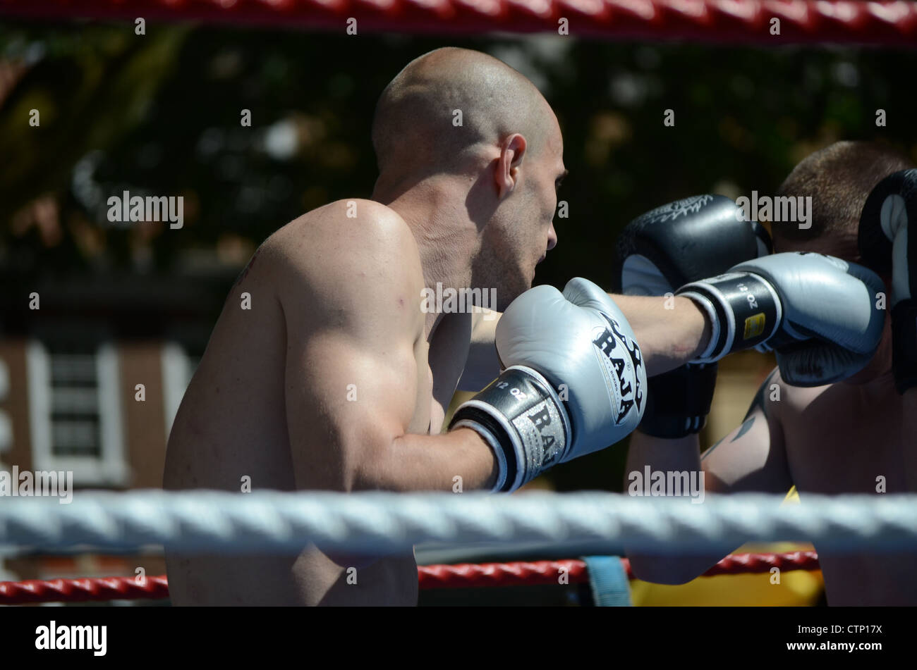 Boxers face hi-res stock photography and images - Alamy