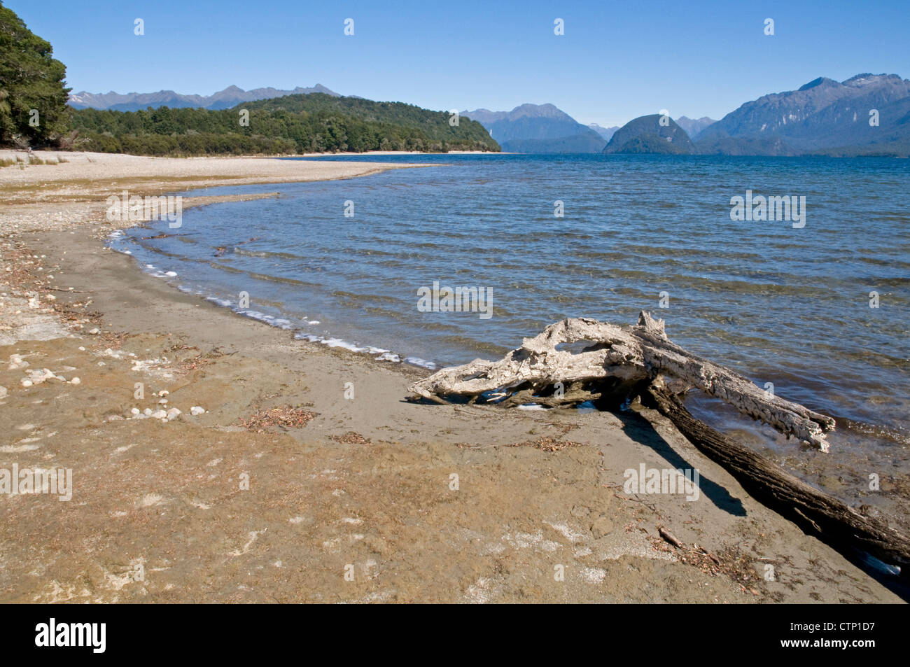 Shallow Bay at the northeastern edge of Lake Manapouri, New Zealand ...