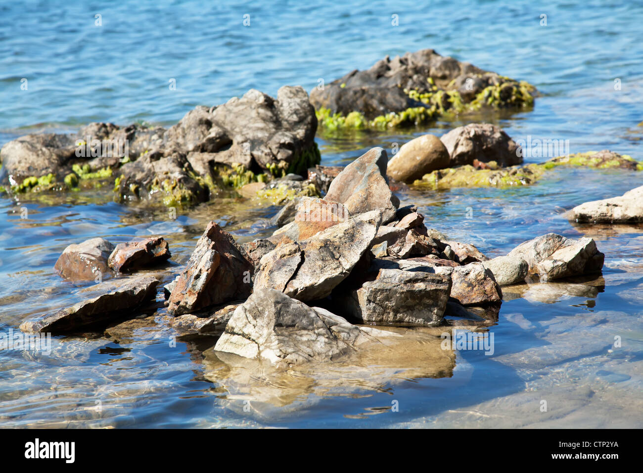 Stones with algae in deep blue sea Stock Photo - Alamy