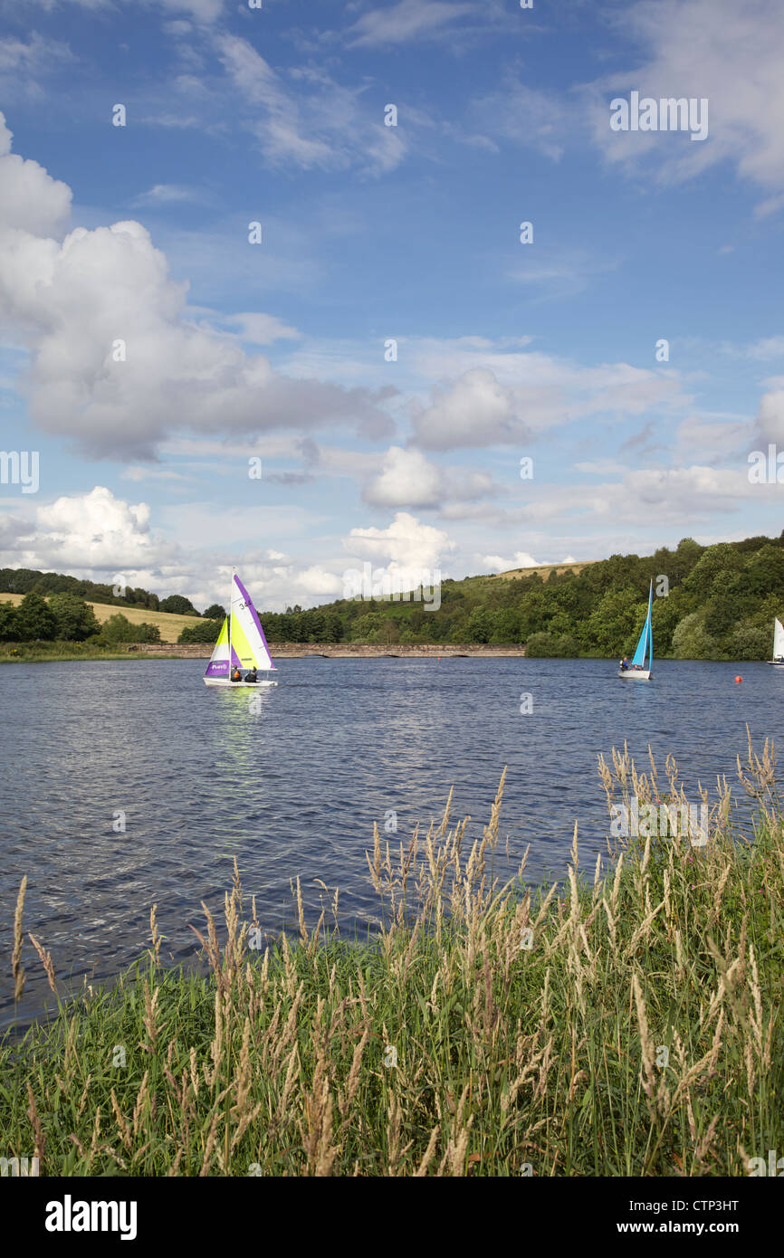 Sailing dinghies on Ulley reservoir Stock Photo - Alamy