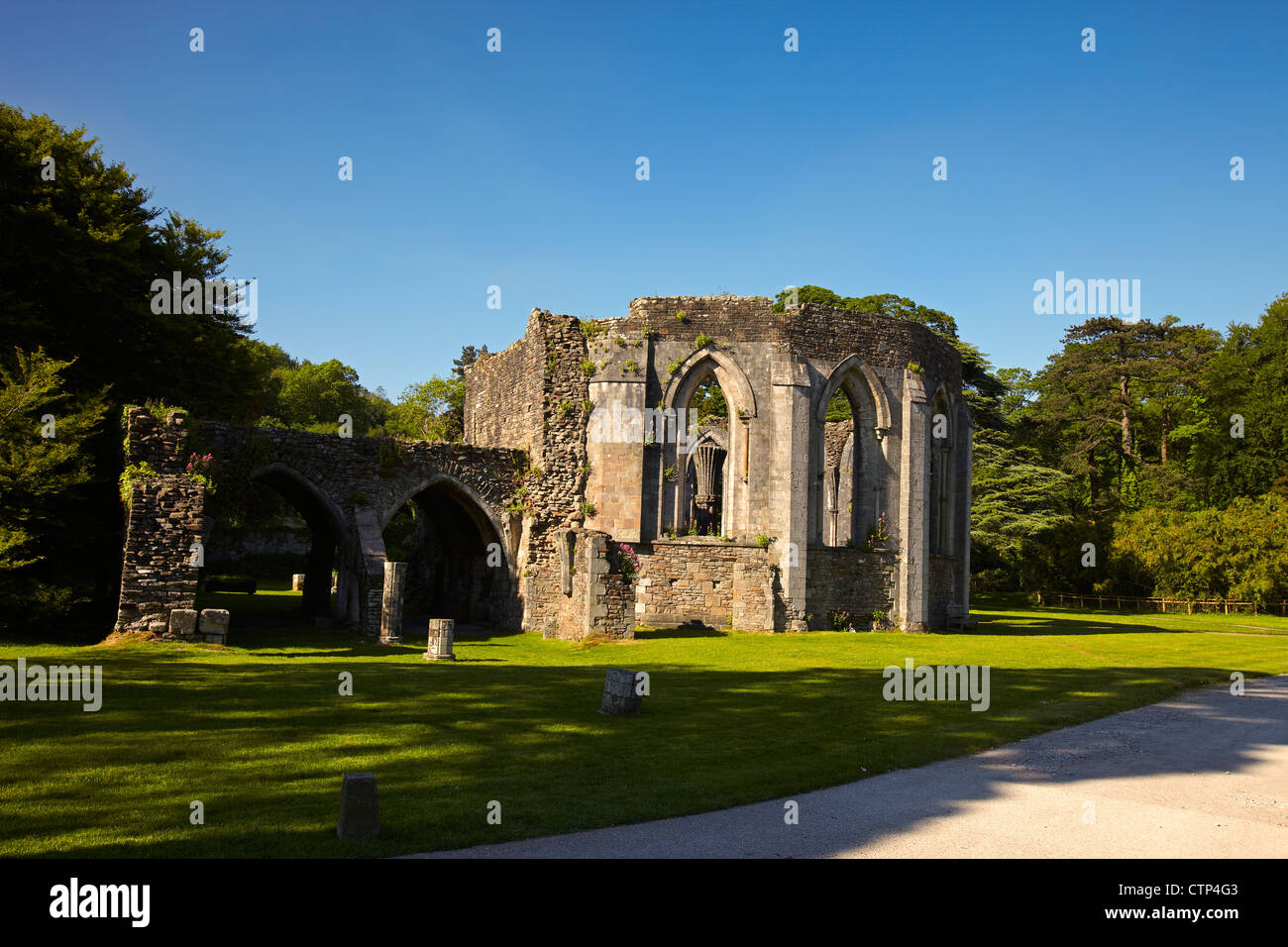 Margam Abbey High Resolution Stock Photography and Images - Alamy