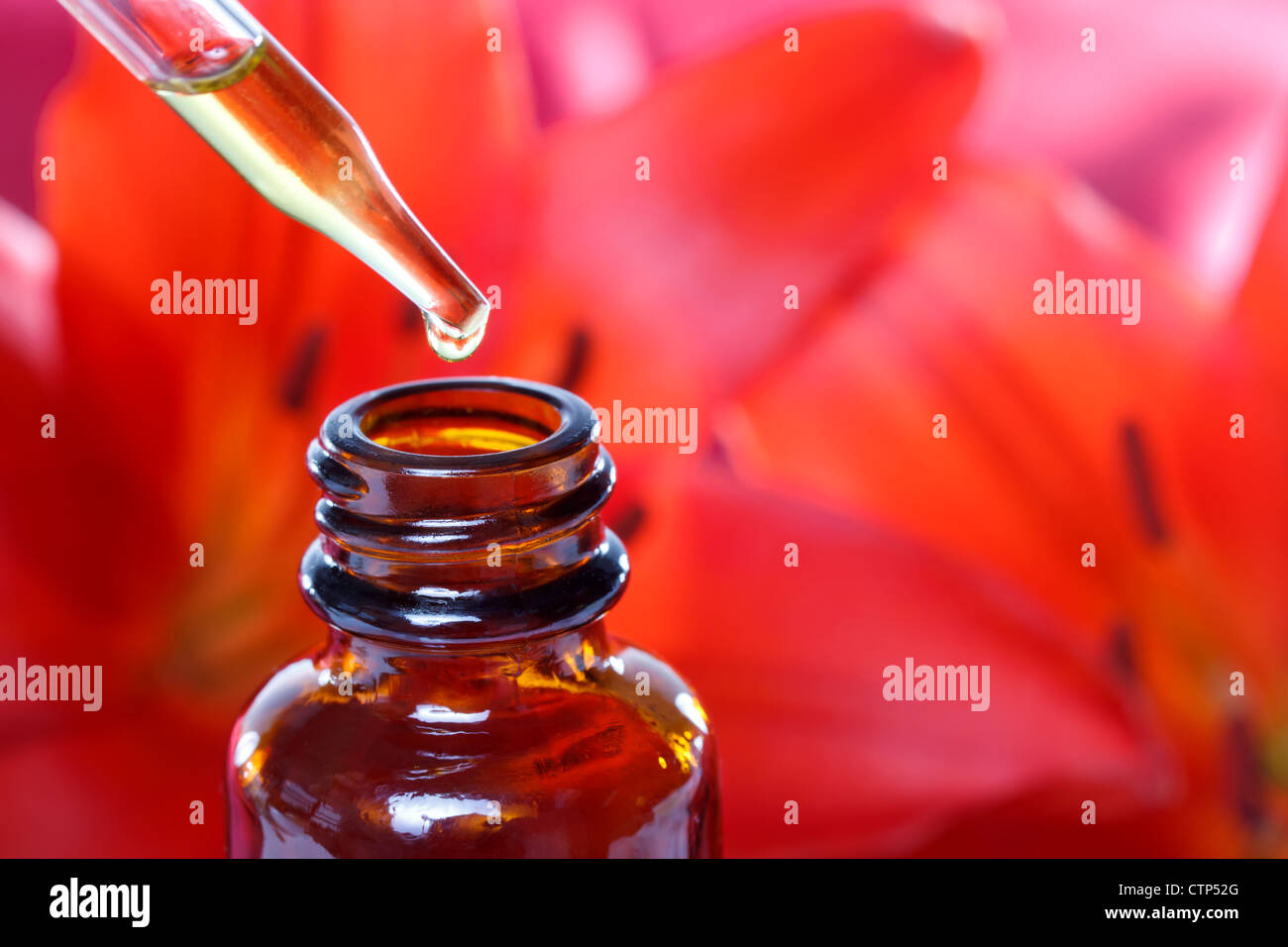 Herbal Medicine Tincture with Flowers (red lilies Stock Photo - Alamy