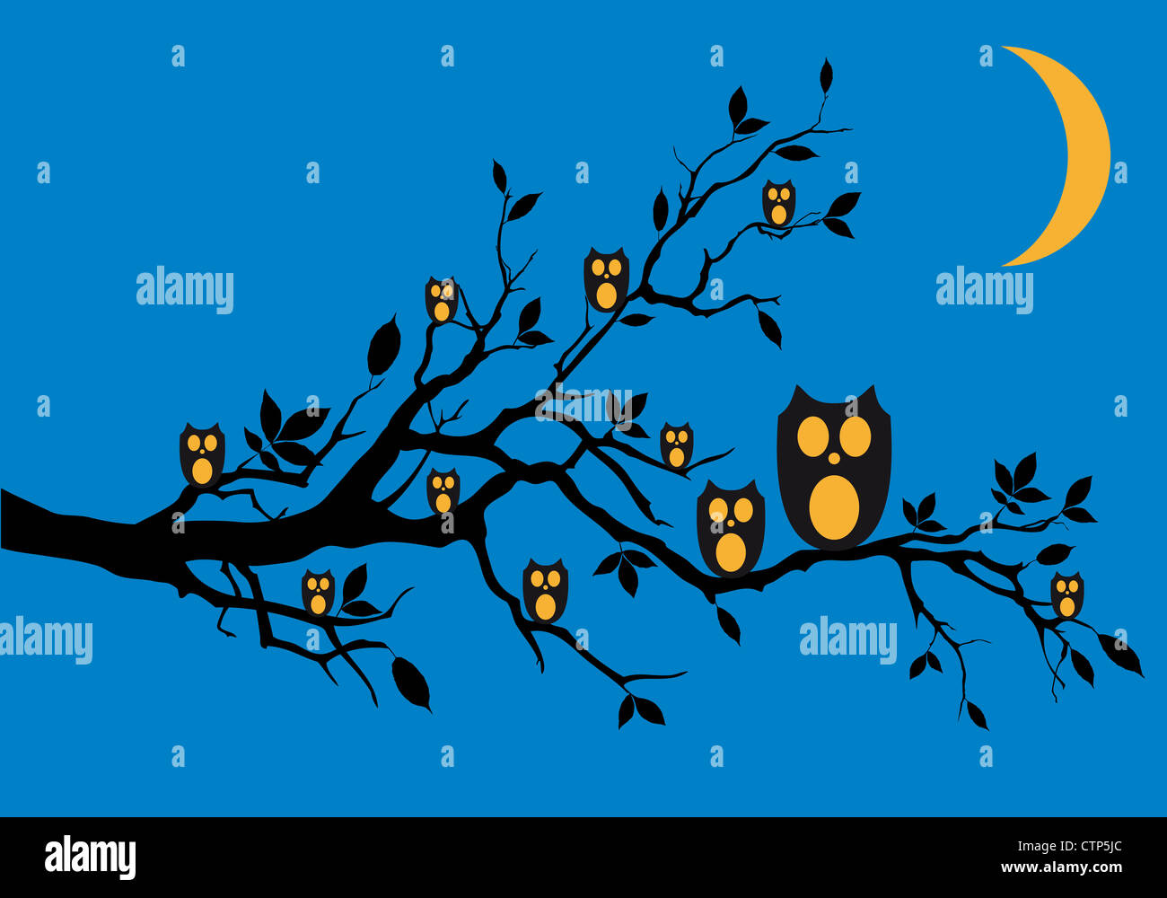 Owl moon night hi-res stock photography and images - Alamy