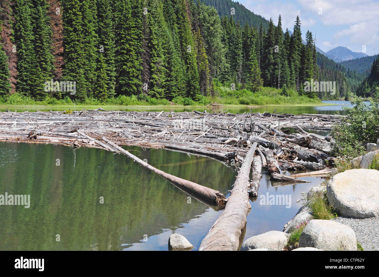 Logging lake pond hi-res stock photography and images - Alamy