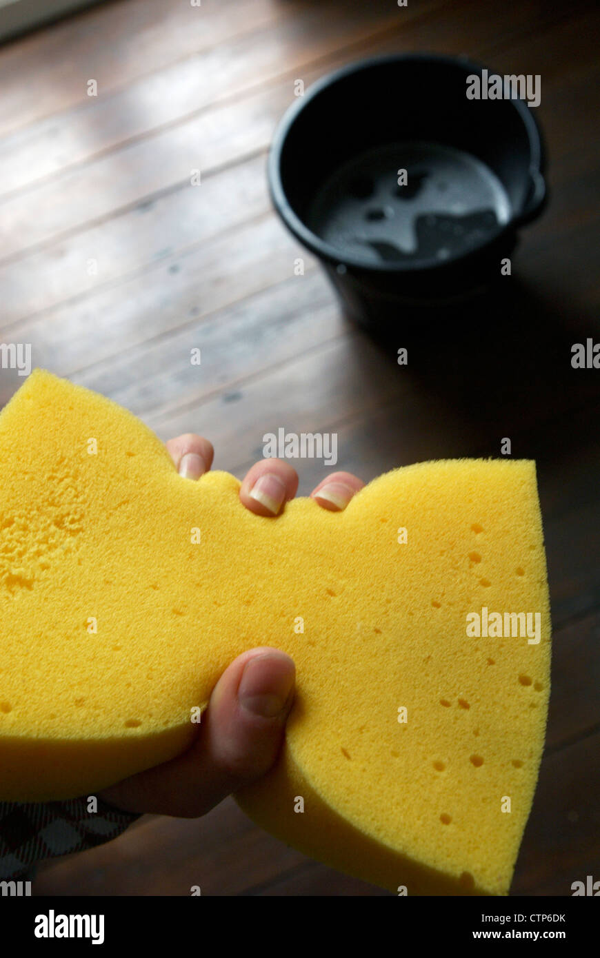 Woman holding sponge Stock Photo - Alamy