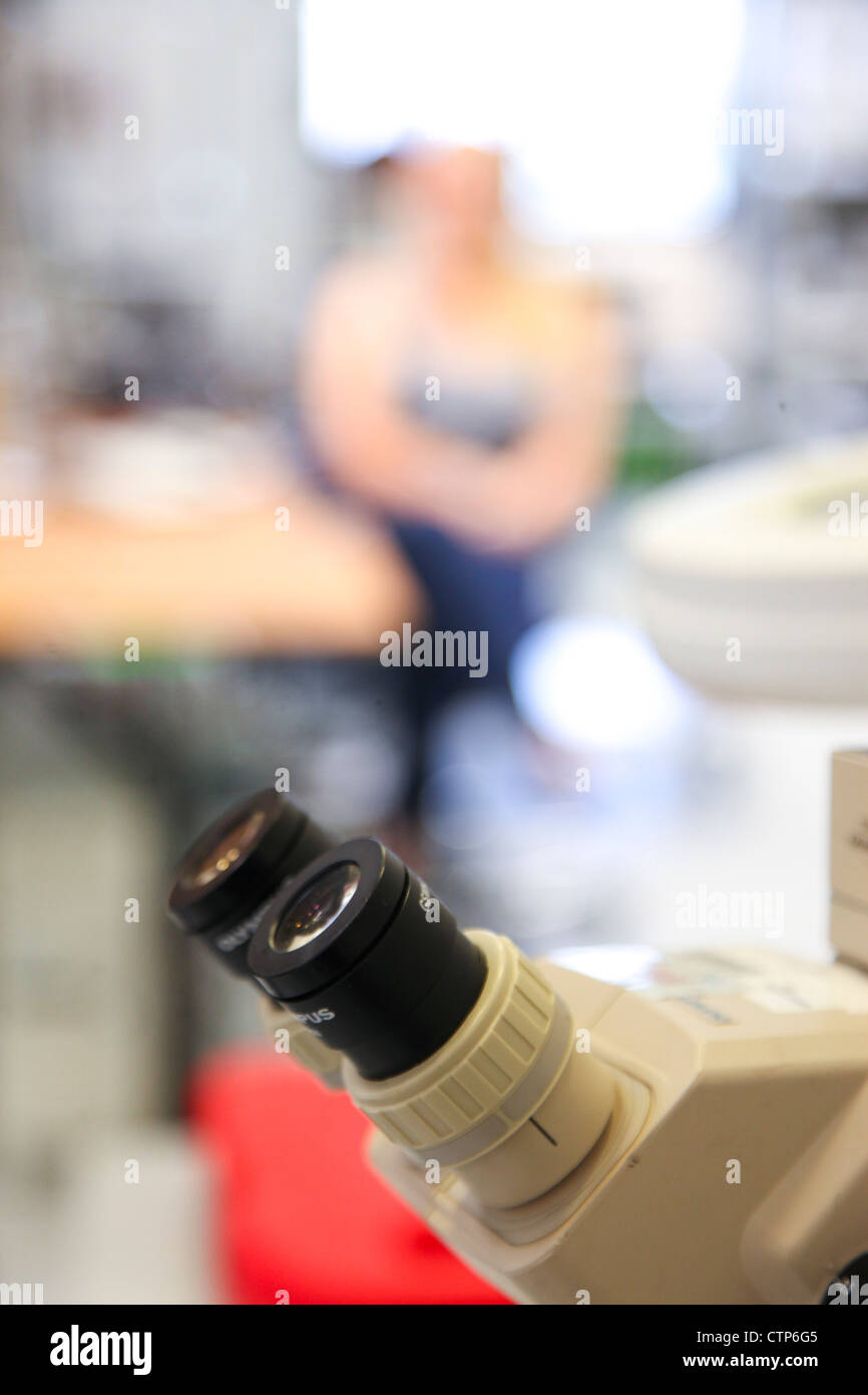 Research Laboratory optical microscope selective focus on microscope ...