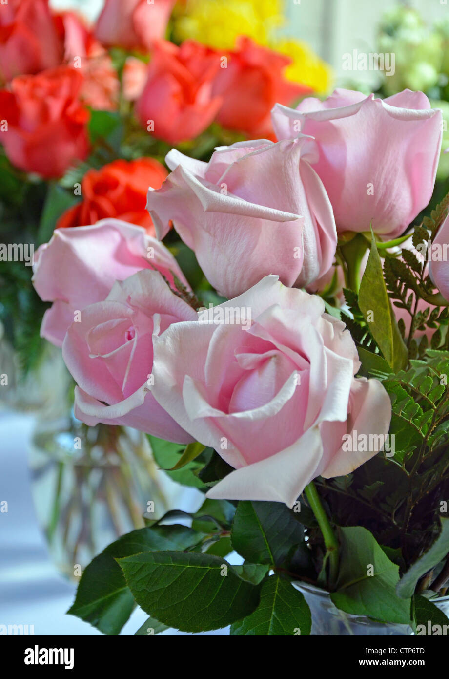 Bouquet of pink roses on display Stock Photo - Alamy