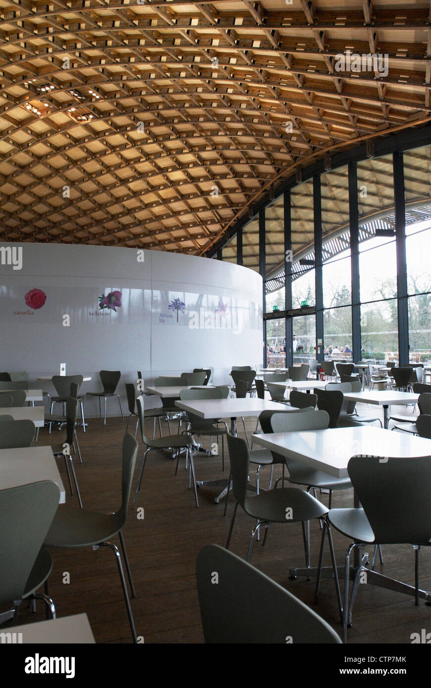 Gridshell timber roof made from renewable sources in the canteen area ...