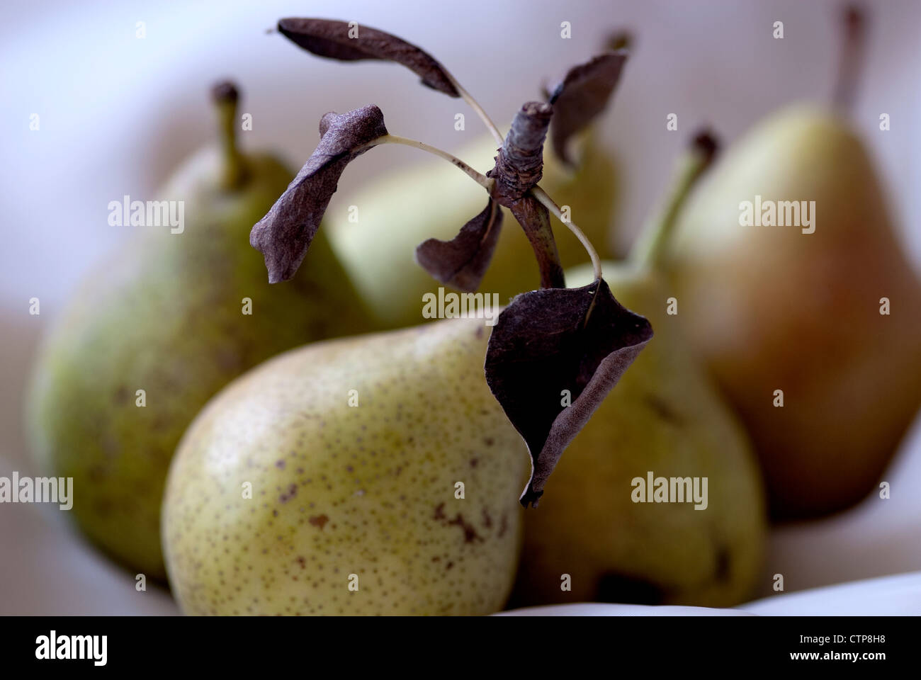 close up of Guyot pears Stock Photo - Alamy