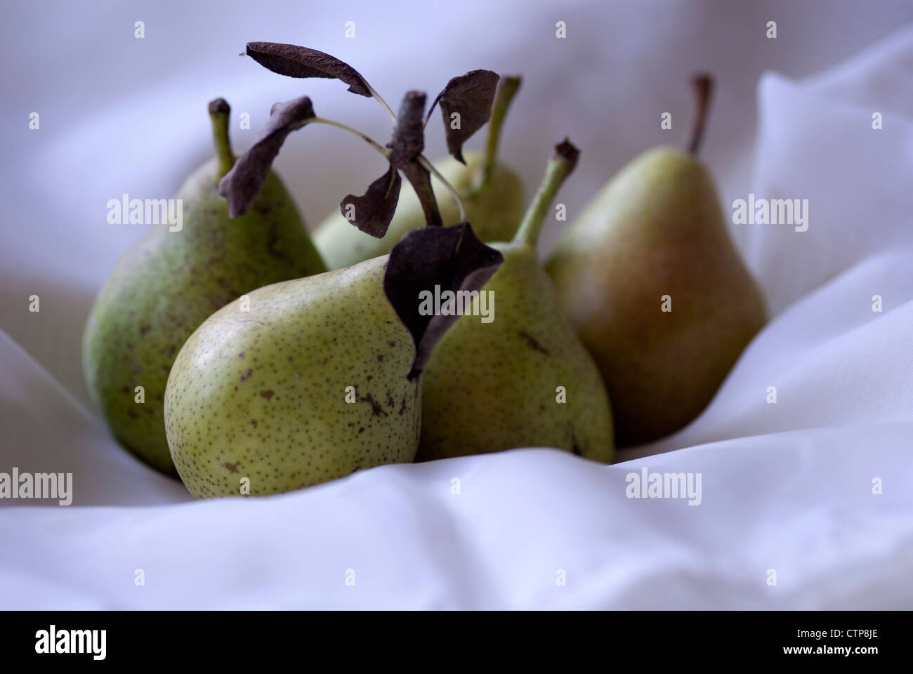an image of Guyot pears on a sfot material background Stock Photo - Alamy