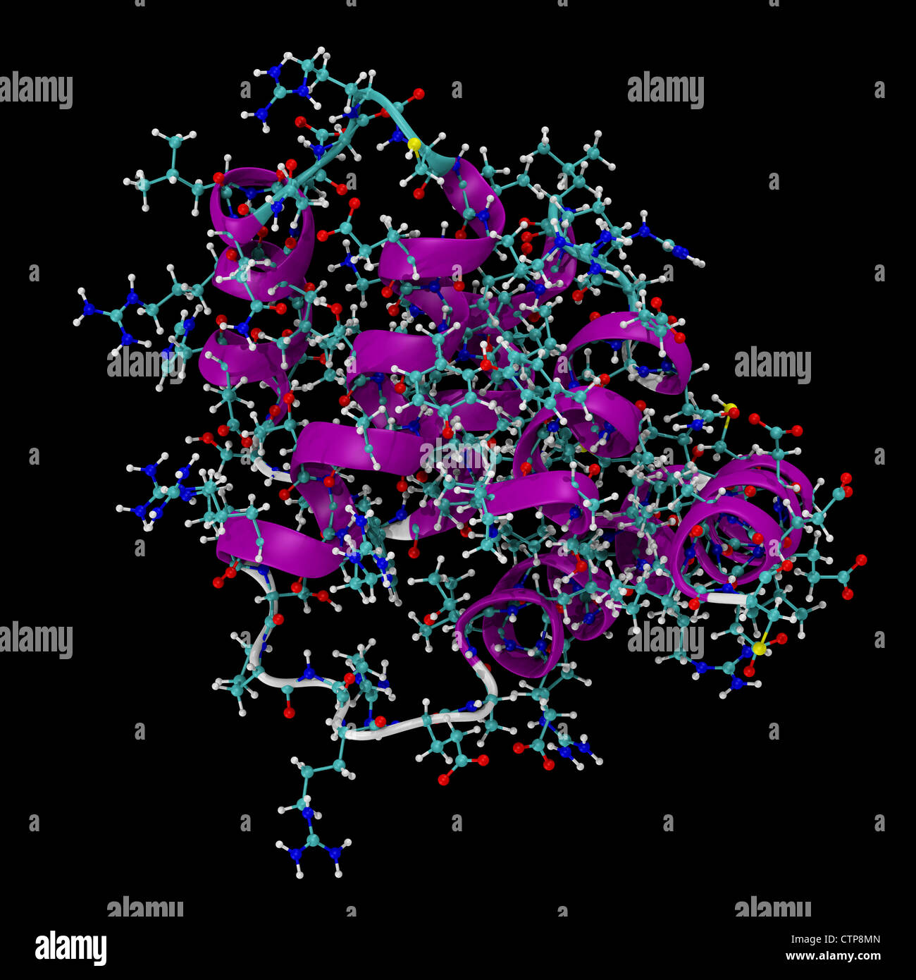 3D molecular model of tumor necrosis factor receptor-1 death domain ...