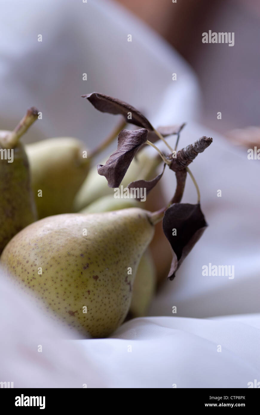 a close up image of Guyot pears on a soft material background shot at ...