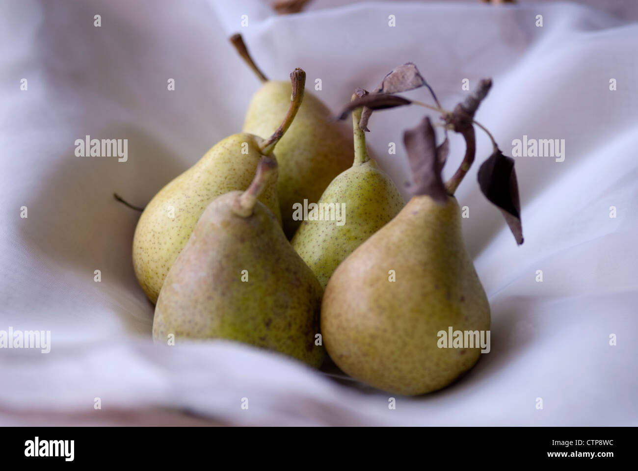 Guyot pears hi-res stock photography and images - Alamy