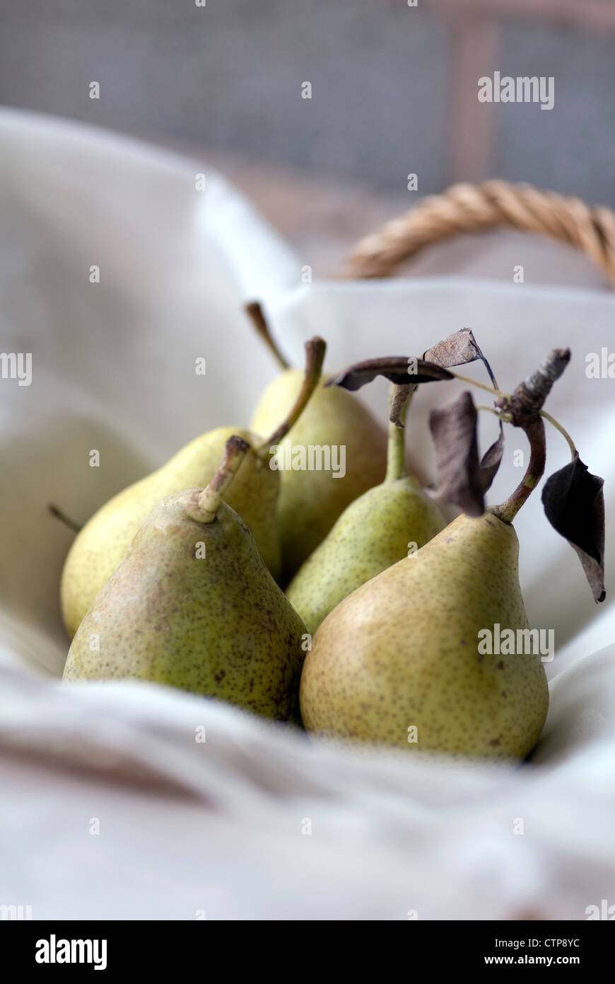 a group of Guyot pears on a bed of soft material in a basket Stock ...