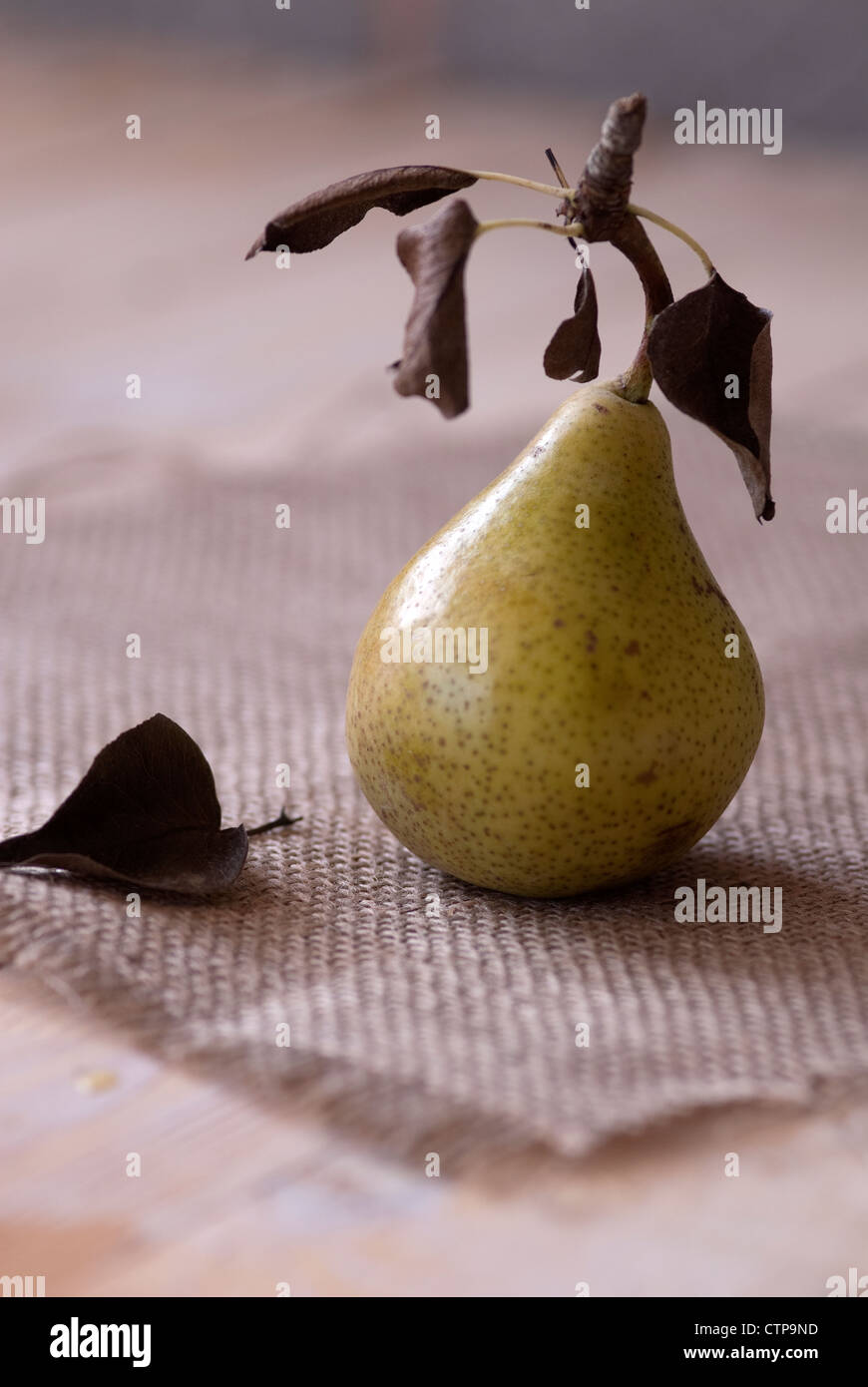 Single guyot hi-res stock photography and images - Alamy