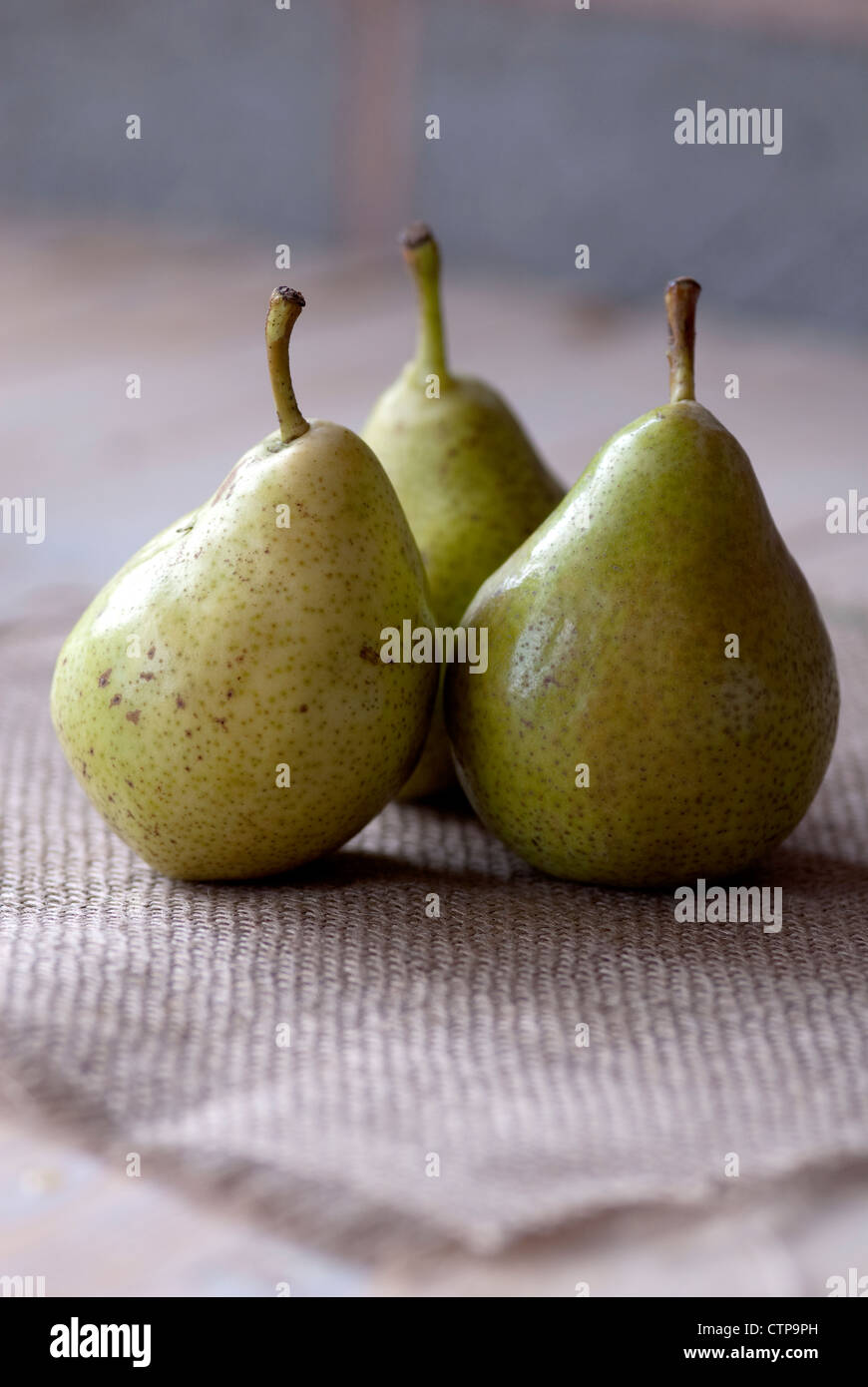 a close up image of three Guyot pears on a hessian cloth Stock Photo ...