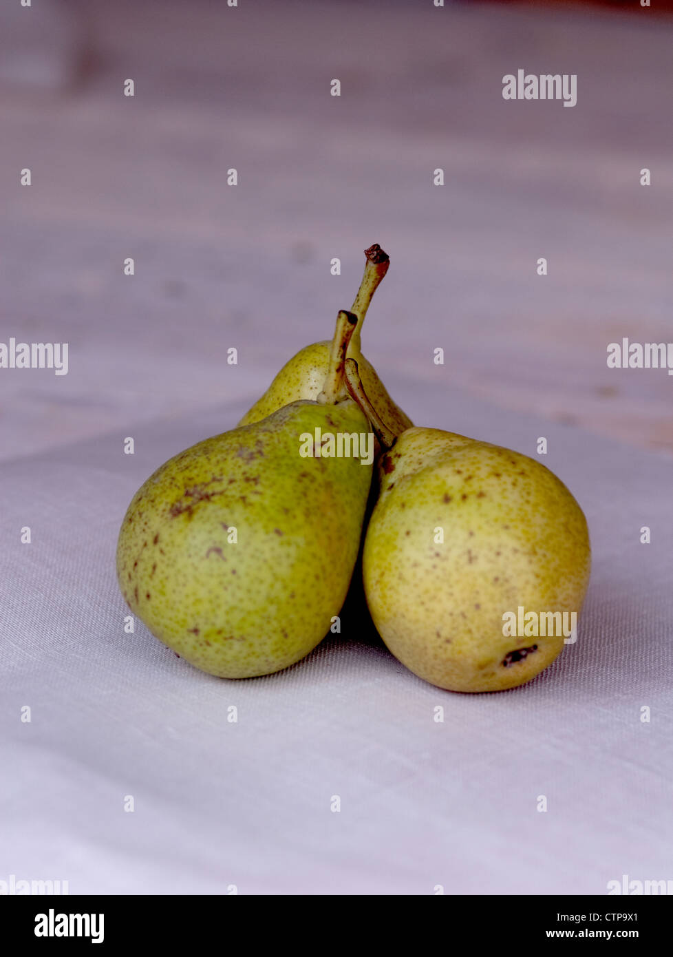 a close up image of three Guyot pears on a light background Stock Photo - Alamy