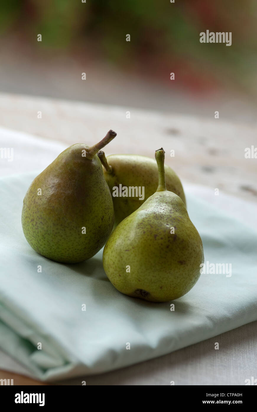 a small collection of Guyot pears on a cloth background shot in the UK ...