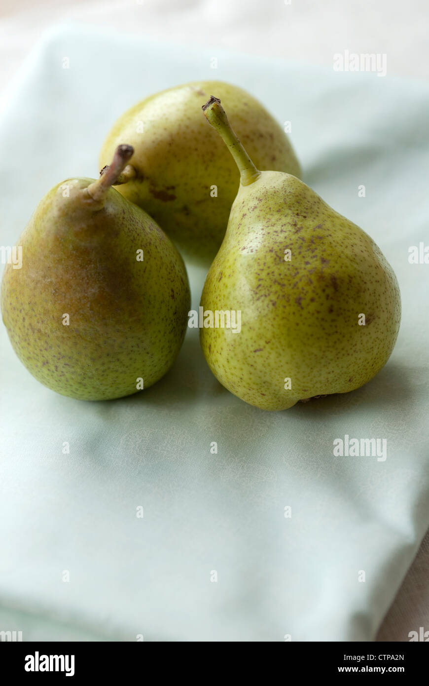 a close up image of a group of three Guyot pears Stock Photo - Alamy
