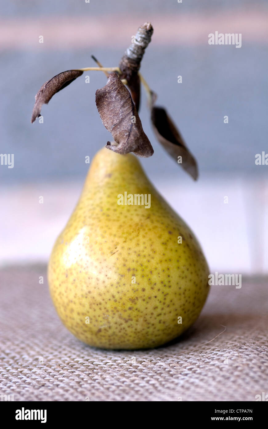 Single guyot hi-res stock photography and images - Alamy