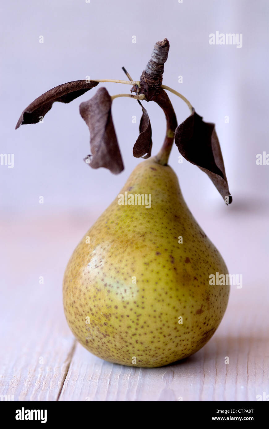 Pear shaped leaves hi-res stock photography and images - Alamy