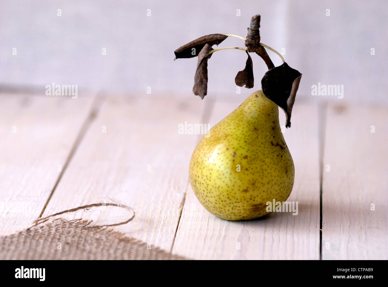 Single guyot hi-res stock photography and images - Alamy