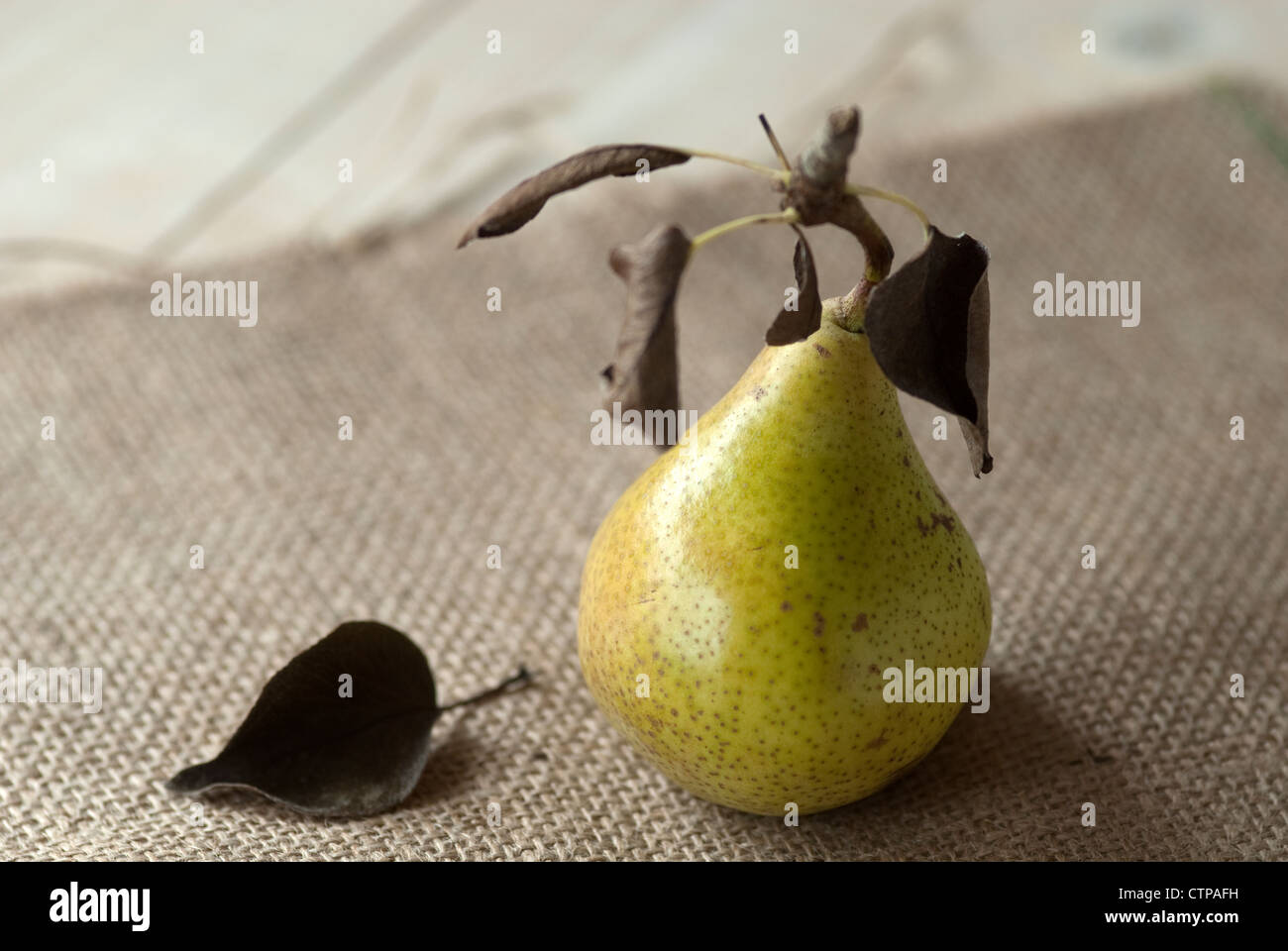 a single guyot pear with a leaf on a hessian background Stock Photo - Alamy